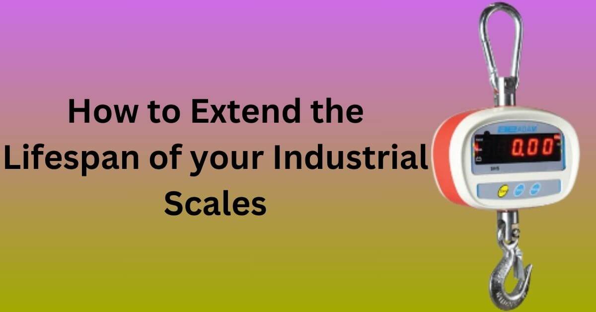 How to Extend the Lifespan of your Industrial Scales