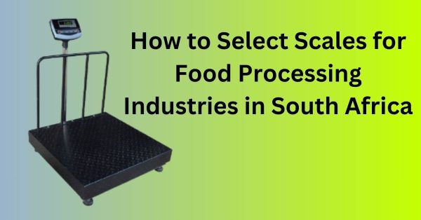 How to Select Scales for Food Processing Industries in South Africa
