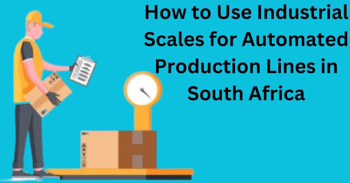 How to Use Industrial Scales for Automated Production Lines in South ...