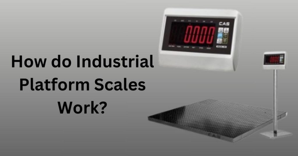 How do Industrial Platform Scales Work?